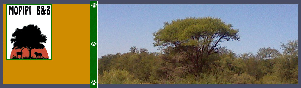 Mopipi B&B - Zeerust, North West